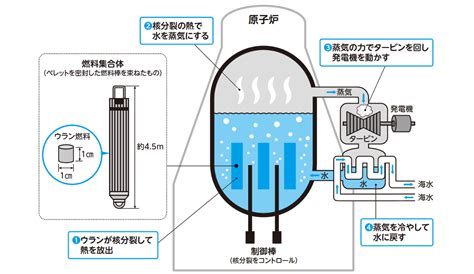 今こそ知りたい！原子力発電所の電気の作り方の仕組みとは【図解 化学の話】 ラブすぽ