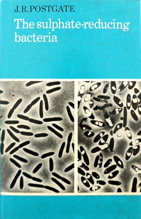 The Sulphate Reducing Bacteria Books N Bobs