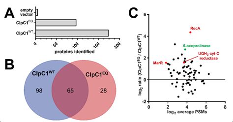 Comparative Analysis Between Clpc1 Eq And Clpc1 Wt Interactome A Bar Download Scientific