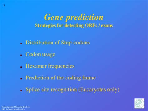 Ppt Dna Sequence Analysis Gene Prediction Powerpoint Presentation