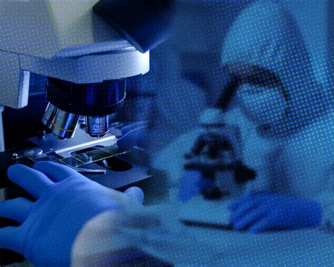 Vitek Ms Prime Identificación Maldi‑tof De Alto Rendimiento Labymed