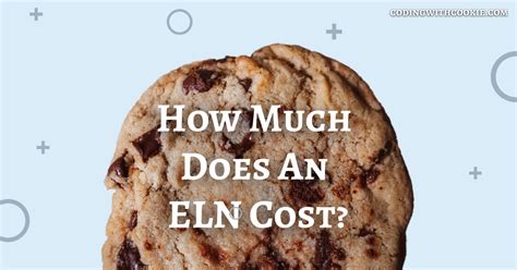 vulnerability management programs codingwithcookie