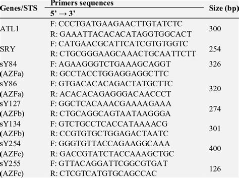 Gene And Sts Primers Using For A Pcr Analysis Download Scientific Diagram