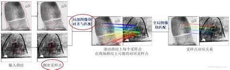 指纹识别与交互基于平面指纹的人机交互系统 Csdn博客