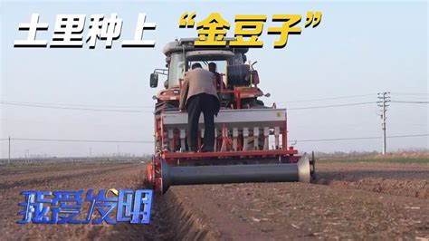 黄土地里种上“金豆子”！他们靠种植半夏实现致富，全靠这台特别的播种机！起垄、播种、放置滴灌带三位一体，简直就是为半夏专门打造的！「我爱发明」