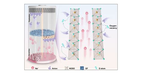 Construction Of Cation Conducting And Anion Capture Solid Electrolyte Interphase For Highly
