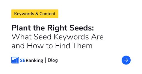 Mastering Seed Keywords Your Comprehensive Guide