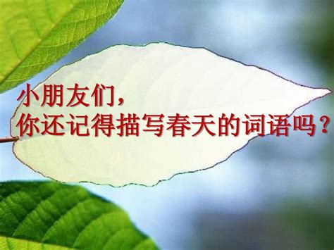 2春雨的色彩word文档在线阅读与下载无忧文档