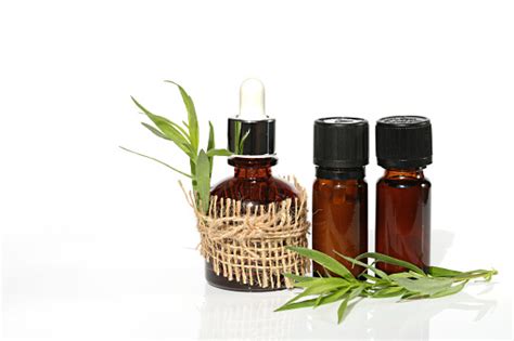 타 라 곤 에센셜 오일 갈색 유리병에 흰색 바탕에 신선한 타 라 곤의 장식 0명에 대한 스톡 사진 및 기타 이미지 Istock