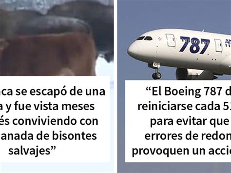 Hoy aprendí 25 datos que demuestran que nunca es demasiado tarde