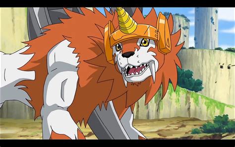 Dorulumon Hd Wallpapers Pxfuel