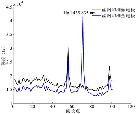一种汞离子检测系统及检测方法