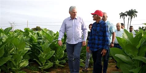 Díaz Canel ‘cuba Can Move Forward And Grow Orinoco Tribune News
