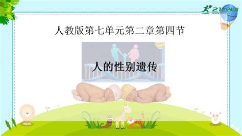 第四节 人的性别遗传 课件共19张ppt（希沃版ppt图片版含视频） 21世纪教育网