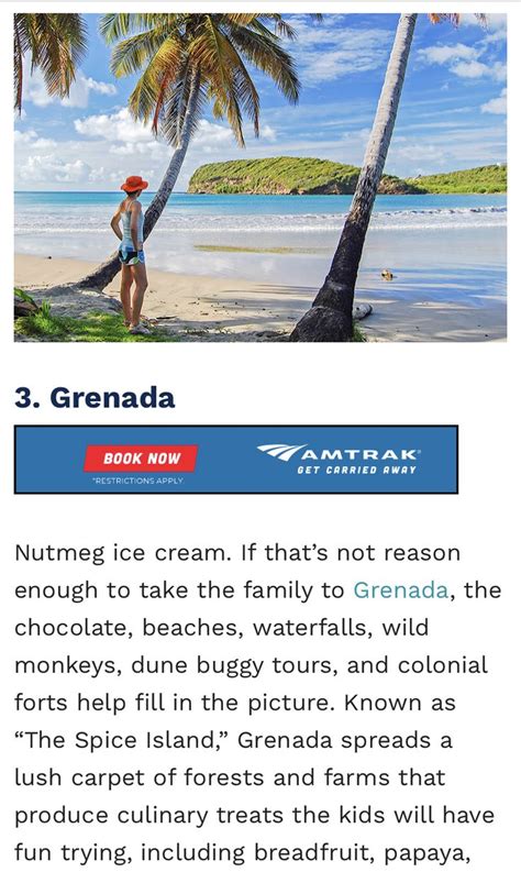 An Article About The Beach And Palm Trees