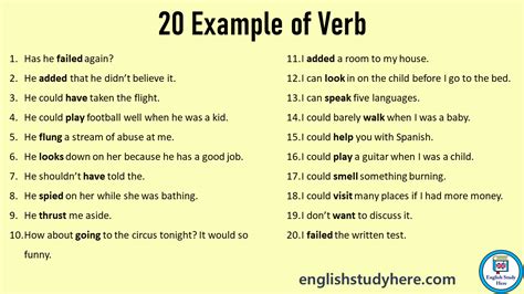 20 Example Of Verb And Example Sentences English Study Here