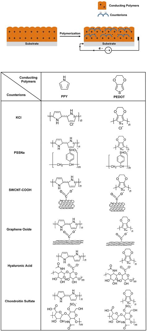 Schematic Illustrations Of Doped Conducting Polymers With Counterions
