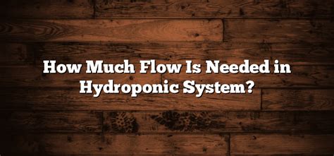 How Much Flow Is Needed In Hydroponic System Inter Culturalu