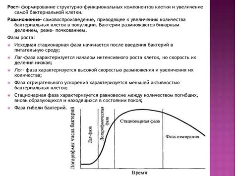 Культивирование бактерий презентация онлайн