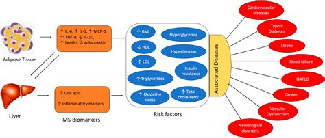 Towards Multiplexed And Multimodal Biosensor Platforms In Real Time Monitoring Of Metabolic