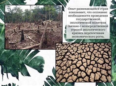 Экологические проблемы развивающихся и развитых стран презентация онлайн