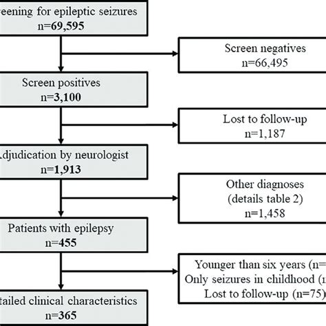 Flowchart Of The People With Epilepsy With Detailed Characteristics Download Scientific