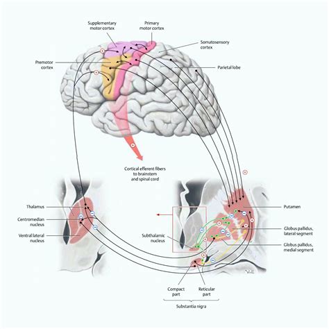 Log In Neurology Neuroscience Brain Science