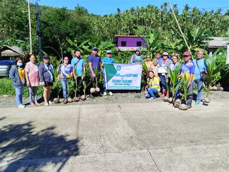 Pgmc Pgmc Turnovers Around 7000 Coconut Seedlings