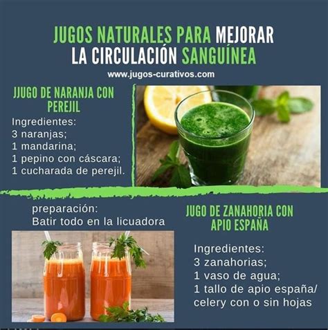 Introducir 77 Imagen Recetas Para Mejorar La Circulacion Abzlocalmx