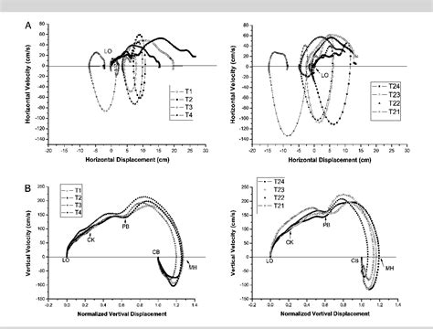 Table 1 From The Three Dimensional Kinematics Of A Barbell During The