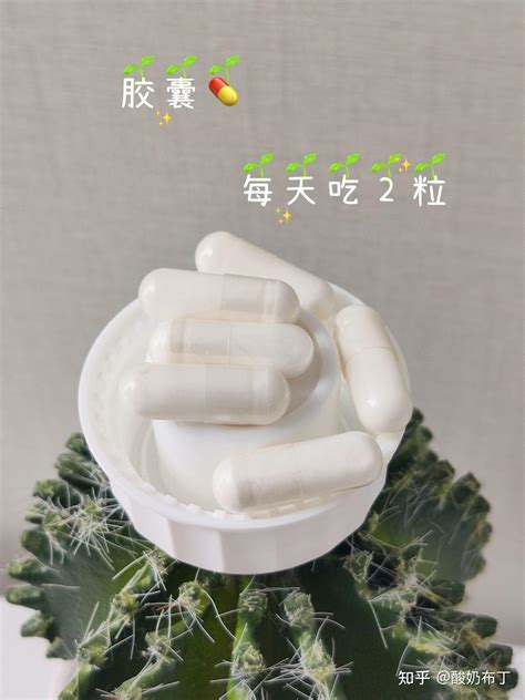 打工人必备的养生内服 知乎