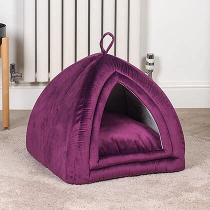 Cats Pets Hobbies Leisure Coopers Of Stortford