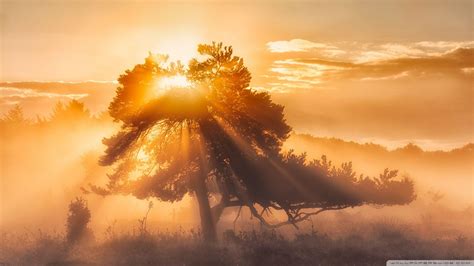 Sun Wallpapers Top Free Sun Backgrounds Wallpaperaccess