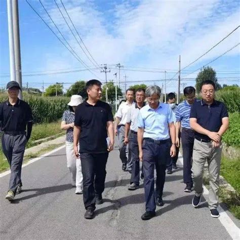 图文：农业农村部种植业管理司到平谷区调研指导草地贪夜蛾发生防控情况大桃平谷区调研