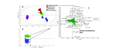Multivariate Data Analysis And Permutation Test A Opls Da Scores