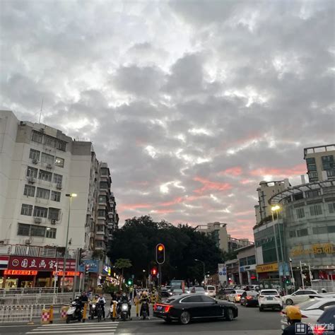 深圳人返工的行李箱一半土特产一半爱 深圳之窗