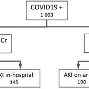 Patient Flow Chart Normal Values For SCr Adjusted By Sex CKD Defined Download Scientific