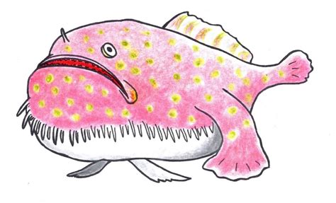 コラム Naui