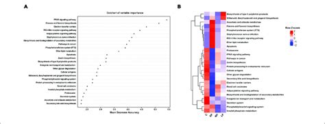 Important Bacterial Functions Identified Using Random Forest