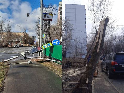 Сильный ветер в Москве за сутки повалил почти полсотни деревьев и ...