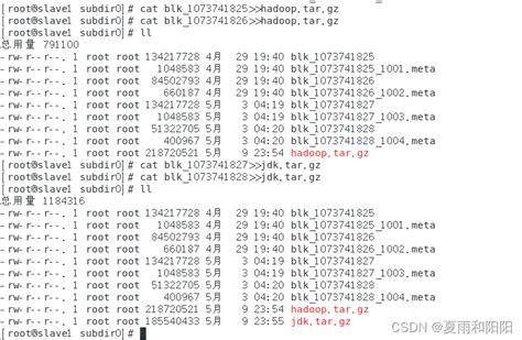 Hadoop完全分布式集群——hadoop 集群测试分布式集群测试大纲 Csdn博客