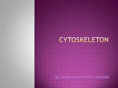 Cytoskeleton Presentation Introduction Structure And Function Ppt