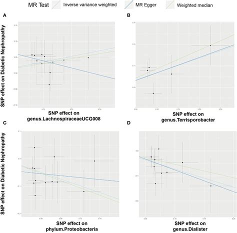 Association Between Gut Microbiota And Diabetic Nephropathy A Two Sample Mendelian