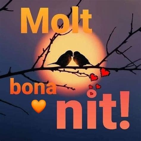 Good Night Greetings Beautiful Movies Movie Posters Garden Quick Happy Love Birthday