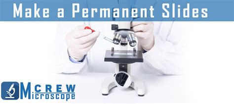 How To Make Permanent Slides Microscope Crew