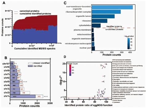 【干货分享】真菌基因组de Novo测序策略及案例分享 知乎
