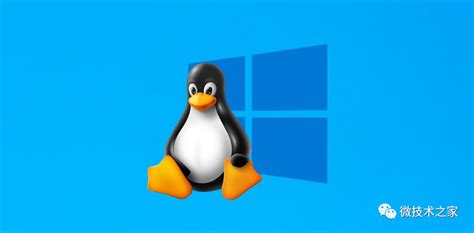 linux与windows的较量：谁能在不同场景下更胜一筹？ csdn博客