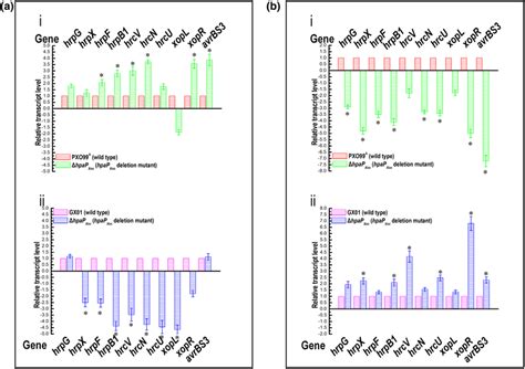HpaP Divergently Regulates The Expression Of Type III Secretion System