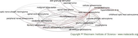 Optic Nerve Astrocytoma Disease Malacards Research Articles Drugs