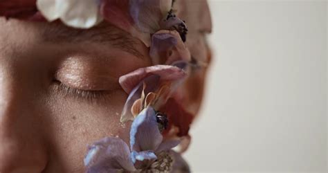 Pixie Videos Download The Best Free 4k Stock Video Footage And Pixie Hd